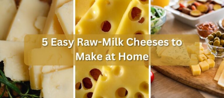 5 Easy Raw-Milk Cheeses to Make at Home: A Beginner's Guide — Prairies ...