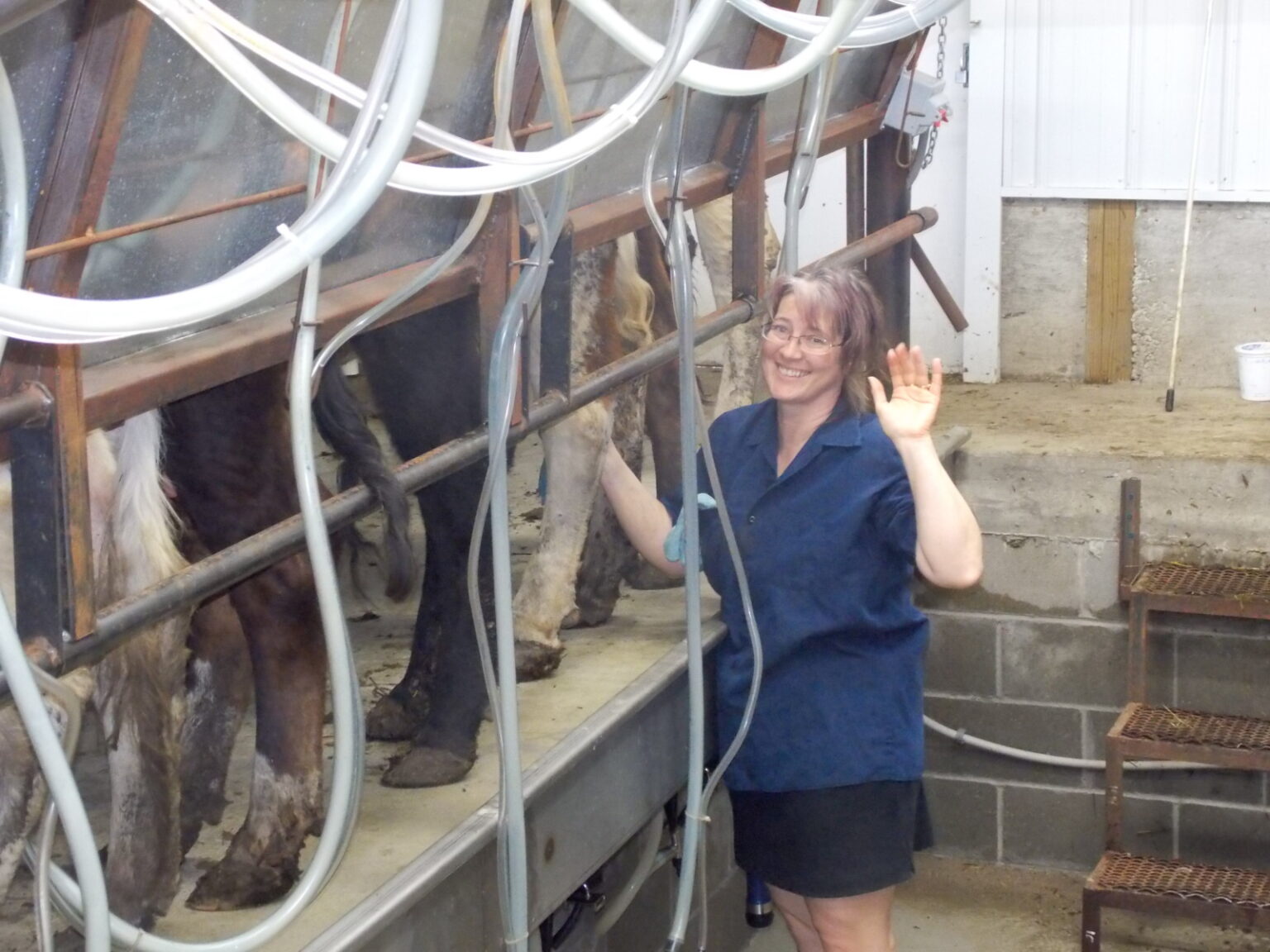 Rediscovering Raw Milk: Embracing Safety, Nutrition, and Local Farms ...